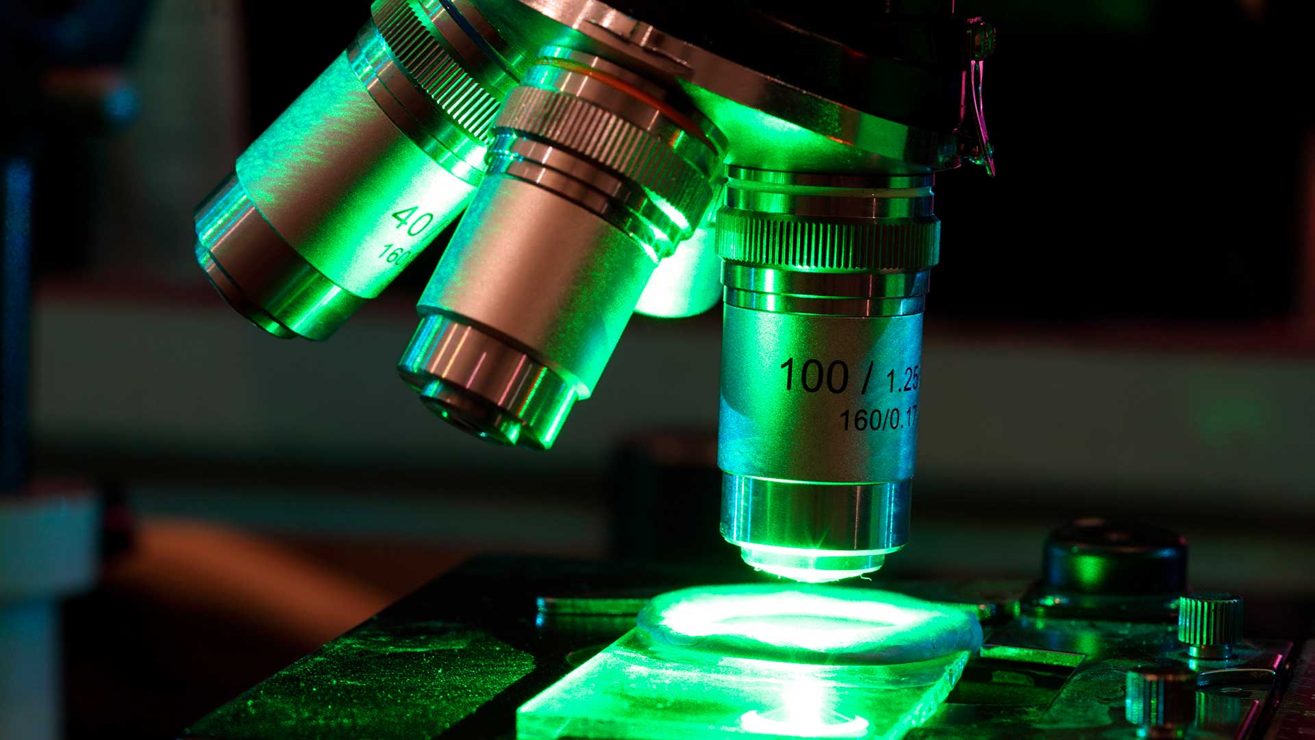 Combattere la Legionella: metodi per sanificare gli impianti di ...