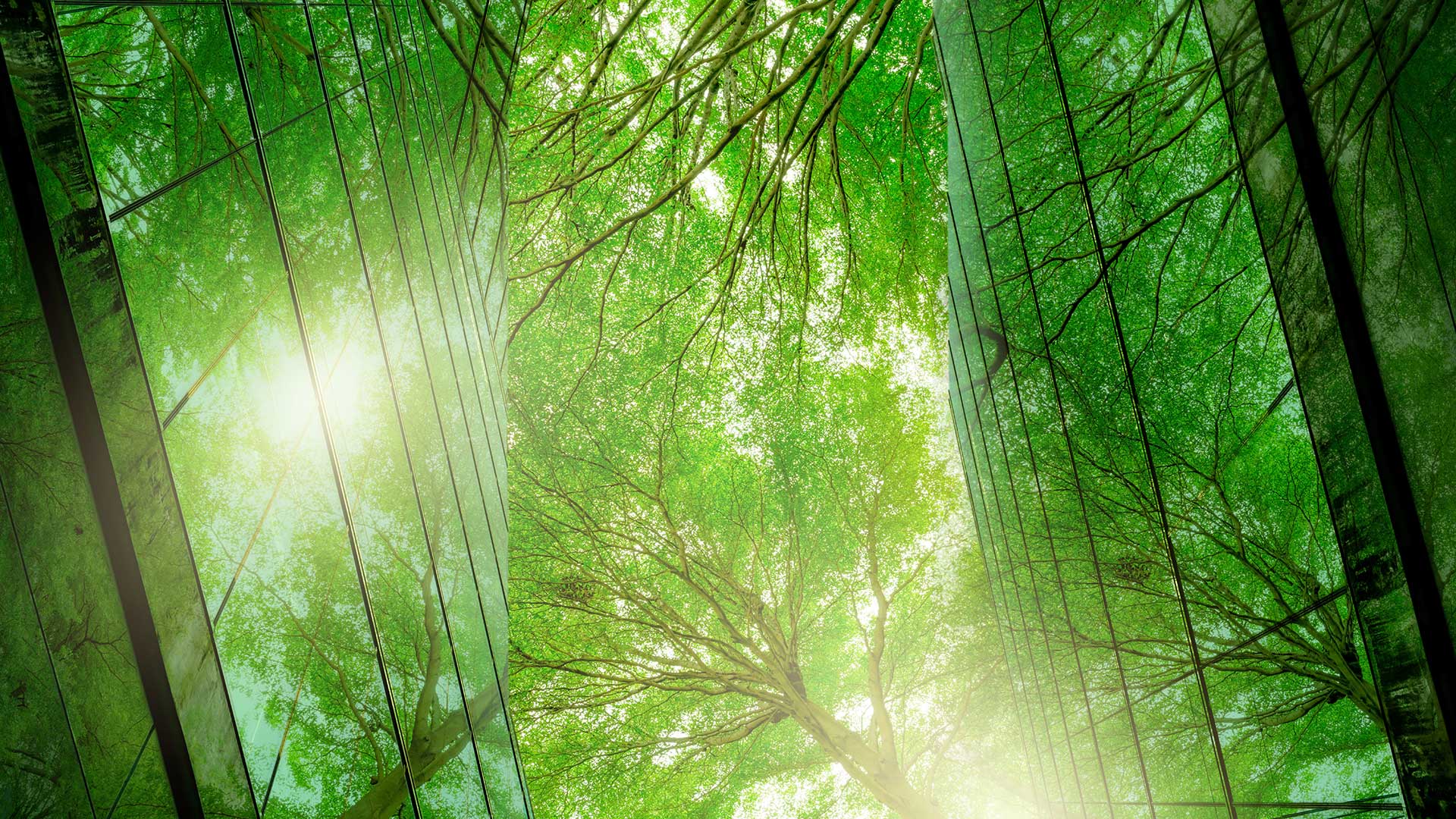 Direttiva Case Green: nuove prospettive per l’efficientamento degli edifici
